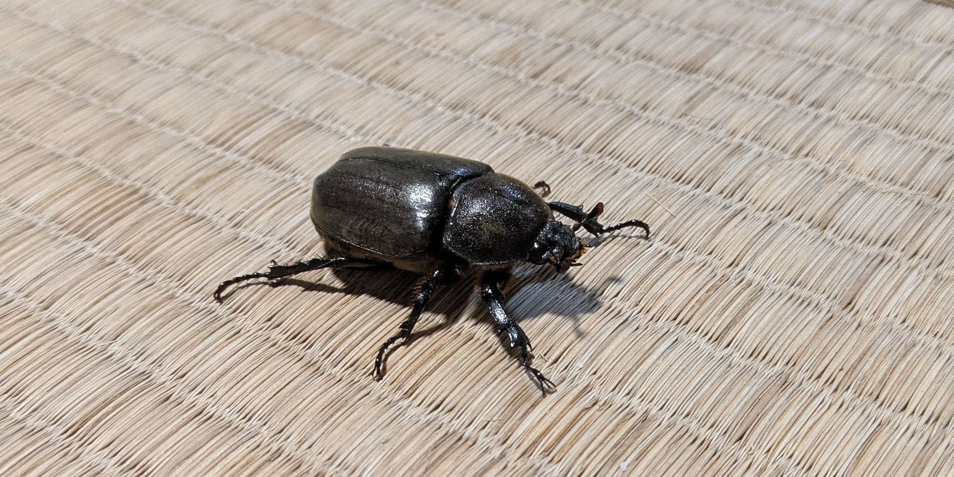 るり渓から車で約10分、休憩所感覚で使える一軒家貸別荘(エアコン、冷蔵庫、テレビあり)の写真8