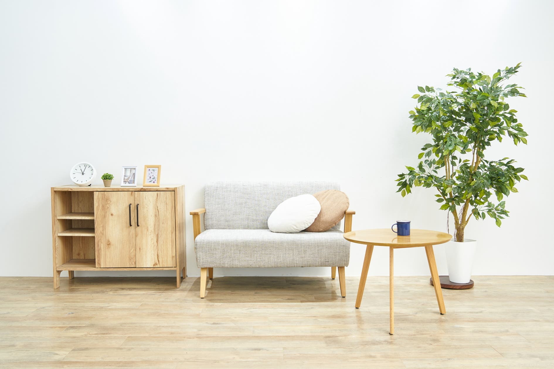 スペモ☁️クリスマス🎄ペット可🐾白ホリ🐇イベント💫撮影🎥ポートレート🫧控え室.765_チェリッシュスタジオ 10号館の写真6