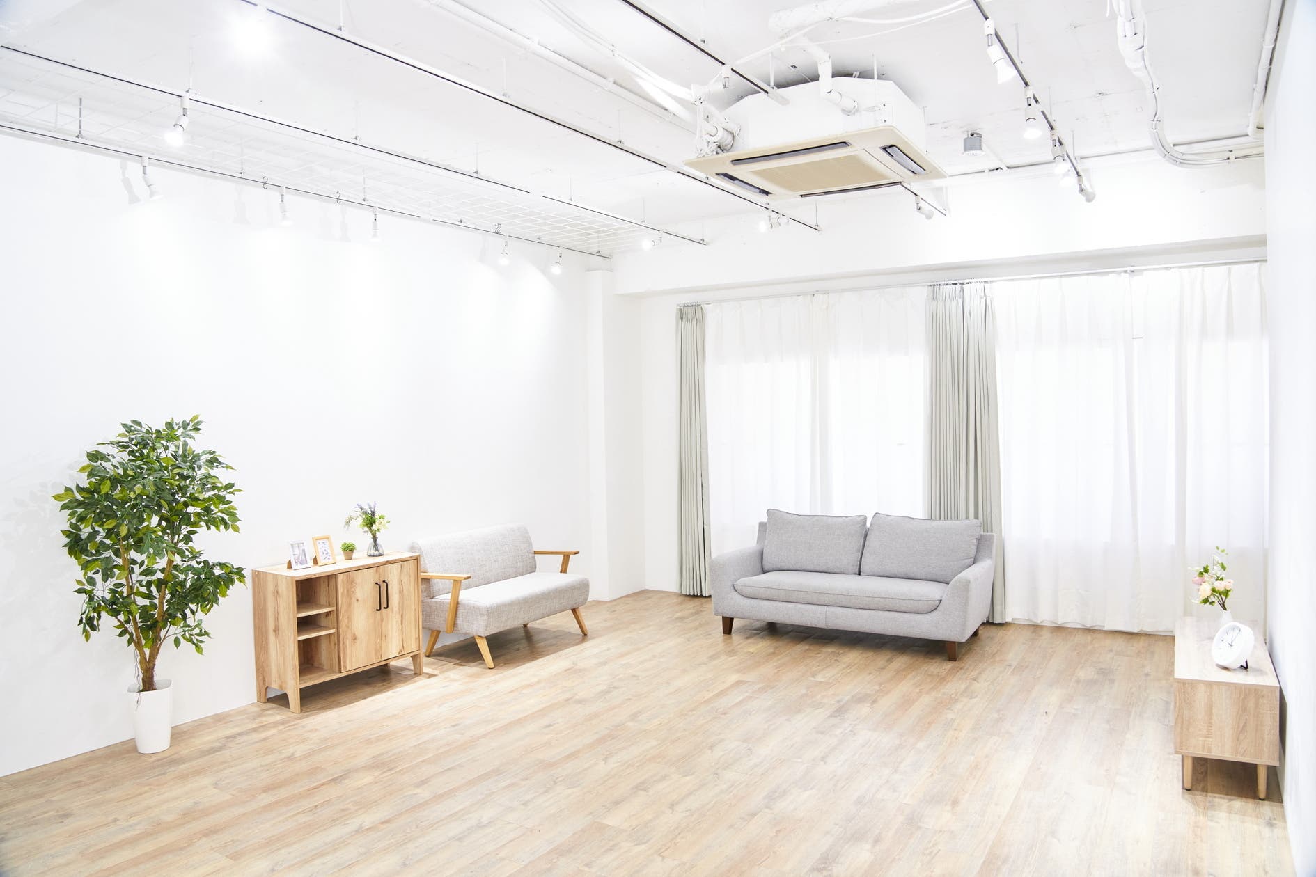 スペモ☁️クリスマス🎄ペット可🐾白ホリ🐇イベント💫撮影🎥ポートレート🫧控え室.765_チェリッシュスタジオ 10号館の写真7