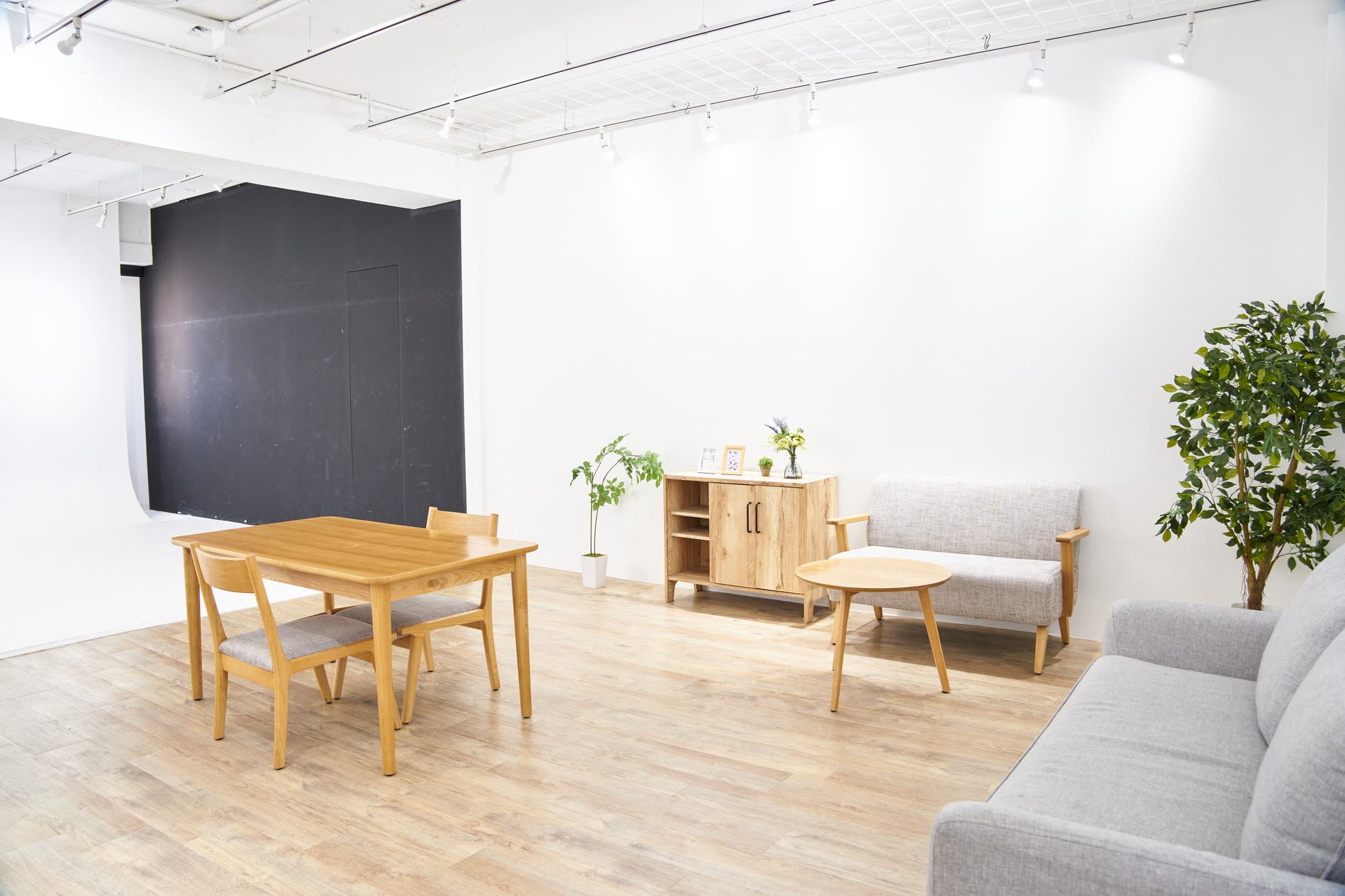 スペモ☁️クリスマス🎄ペット可🐾白ホリ🐇イベント💫撮影🎥ポートレート🫧控え室.765_チェリッシュスタジオ 10号館の写真8