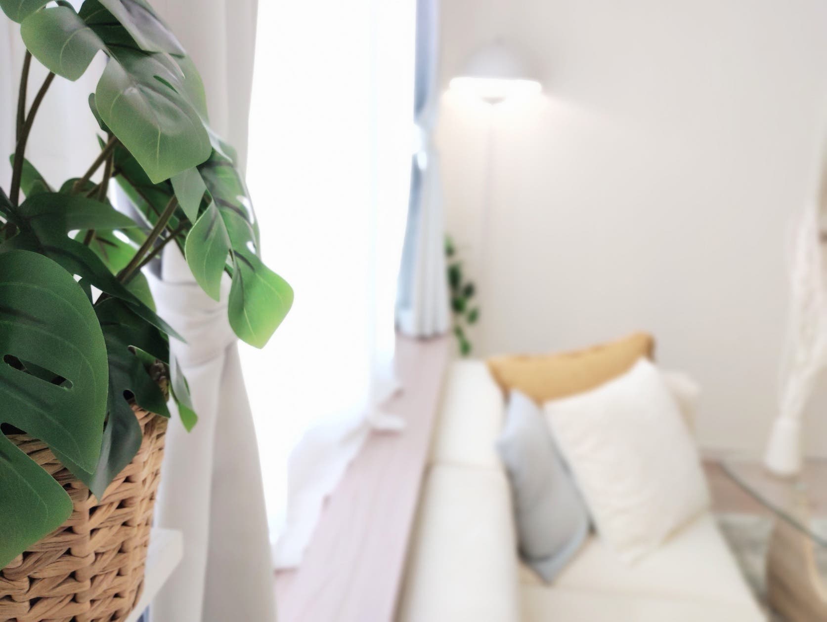 2025年7月オープン！東京タワー徒歩圏内・建物最上階・広く大きなキッチン、全室自然光の入る３部屋を備えた撮影スタジオの写真26