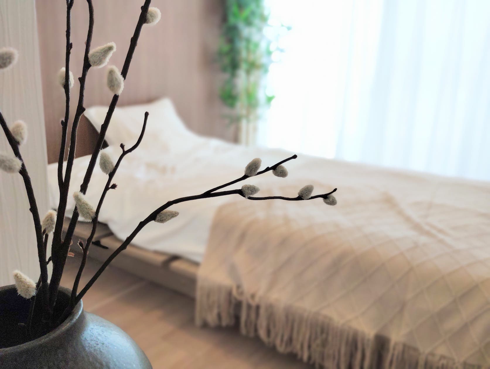 2025年7月オープン！東京タワー徒歩圏内・建物最上階・広く大きなキッチン、全室自然光の入る３部屋を備えた撮影スタジオの写真14