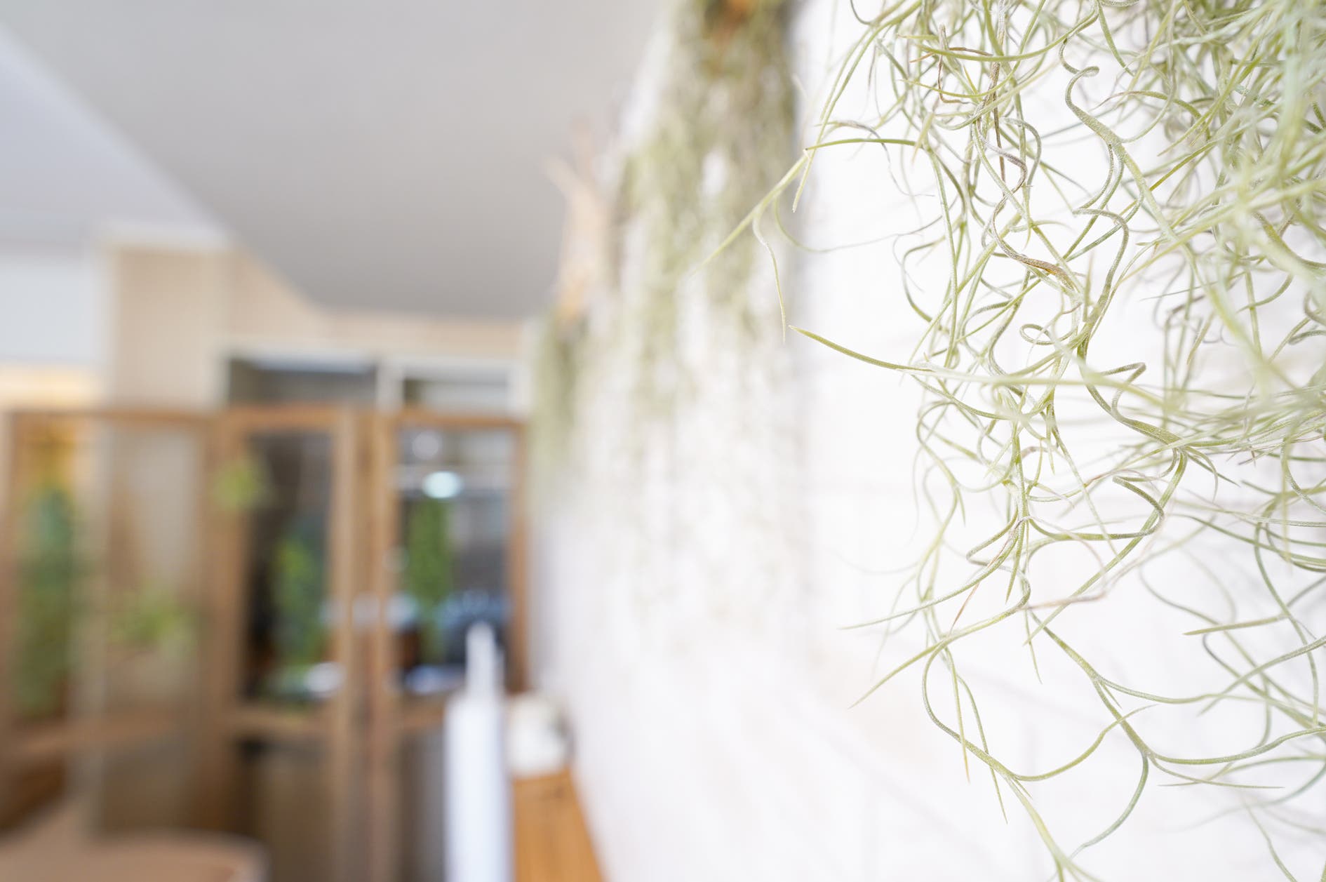 　【オープン記念特別価格577円〜】 二子玉川駅徒歩5分の完全個室の上質サロン✨無料備品も多数ご用意♪の写真26