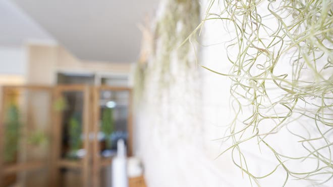 【オープン記念特別価格577円〜】 二子玉川駅徒歩5分の完全個室の上質サロン✨無料備品も多数ご用意♪の写真26