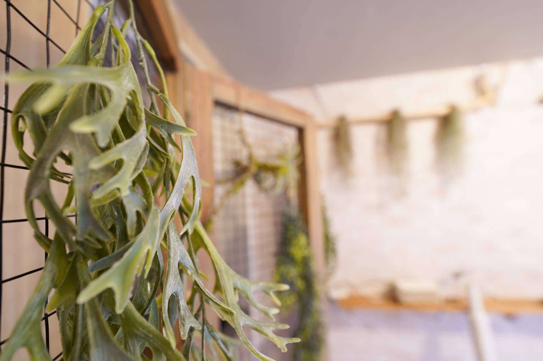 　【オープン記念特別価格577円〜】 二子玉川駅徒歩5分の完全個室の上質サロン✨無料備品も多数ご用意♪の写真25