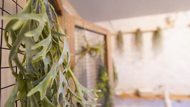 【オープン記念特別価格577円〜】 二子玉川駅徒歩5分の完全個室の上質サロン✨無料備品も多数ご用意♪の写真25