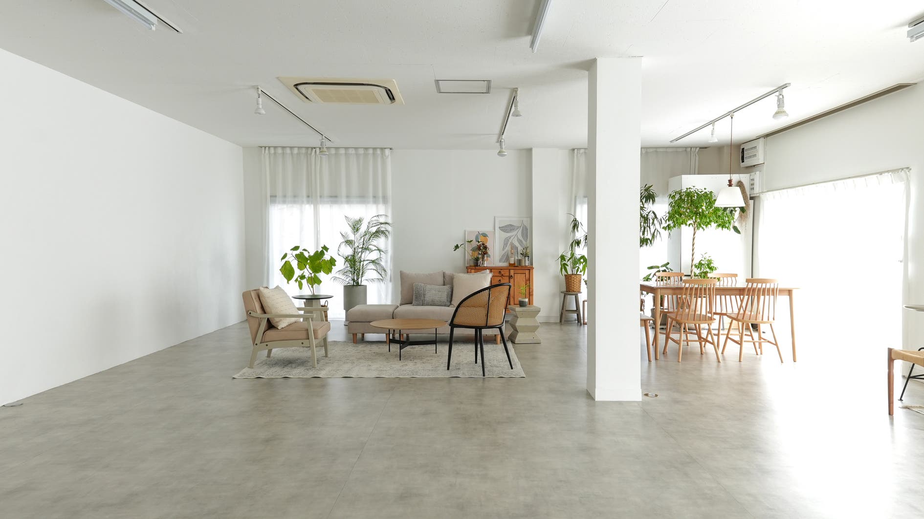 自然光は南＆東の2面☀️清掃◎で綺麗な白壁とモルタル調床／YouTube&WebCM実績多数🎥の写真1