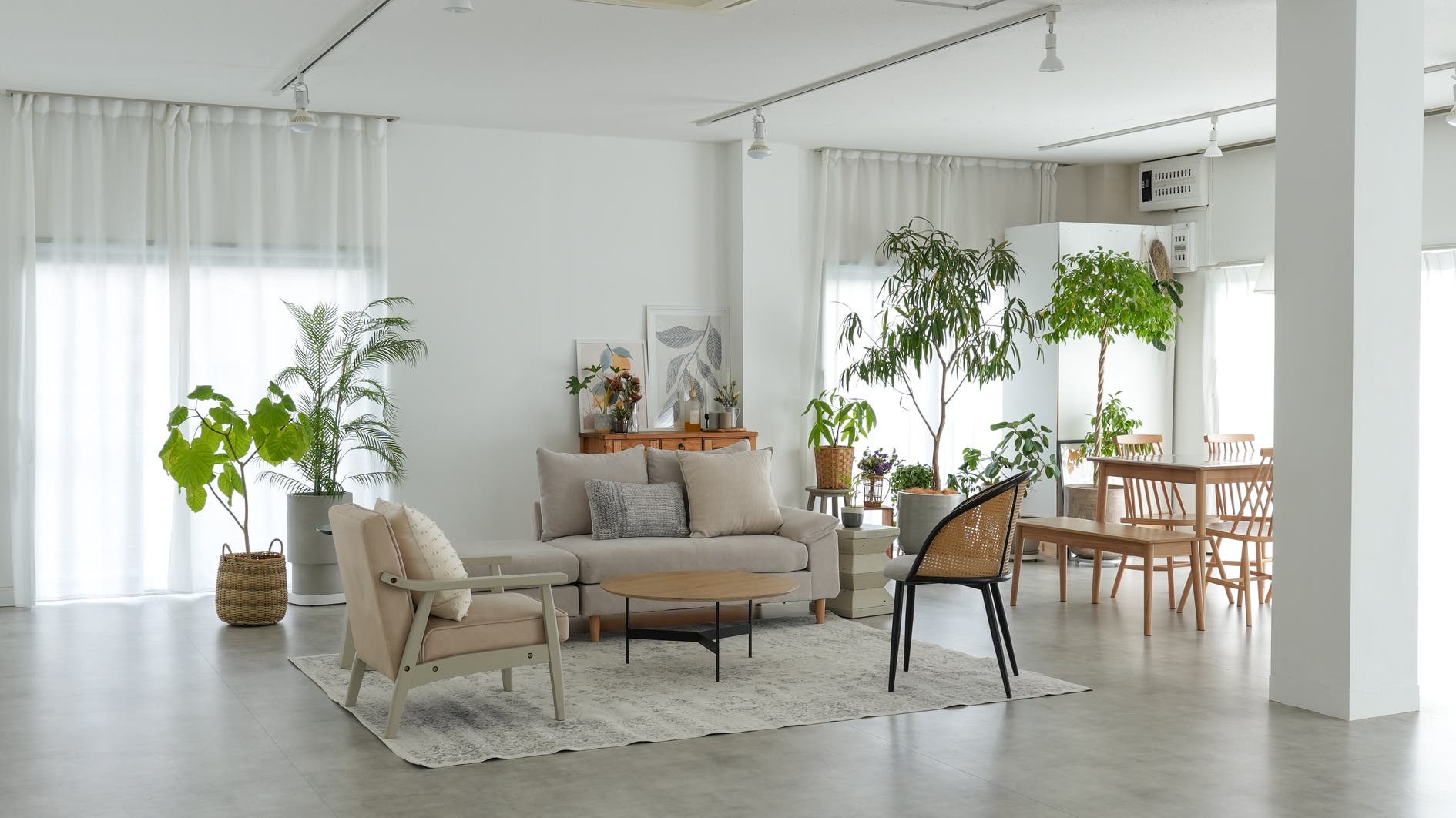 自然光は南＆東の2面☀️清掃◎で綺麗な白壁とモルタル調床／YouTube&WebCM実績多数🎥の写真4