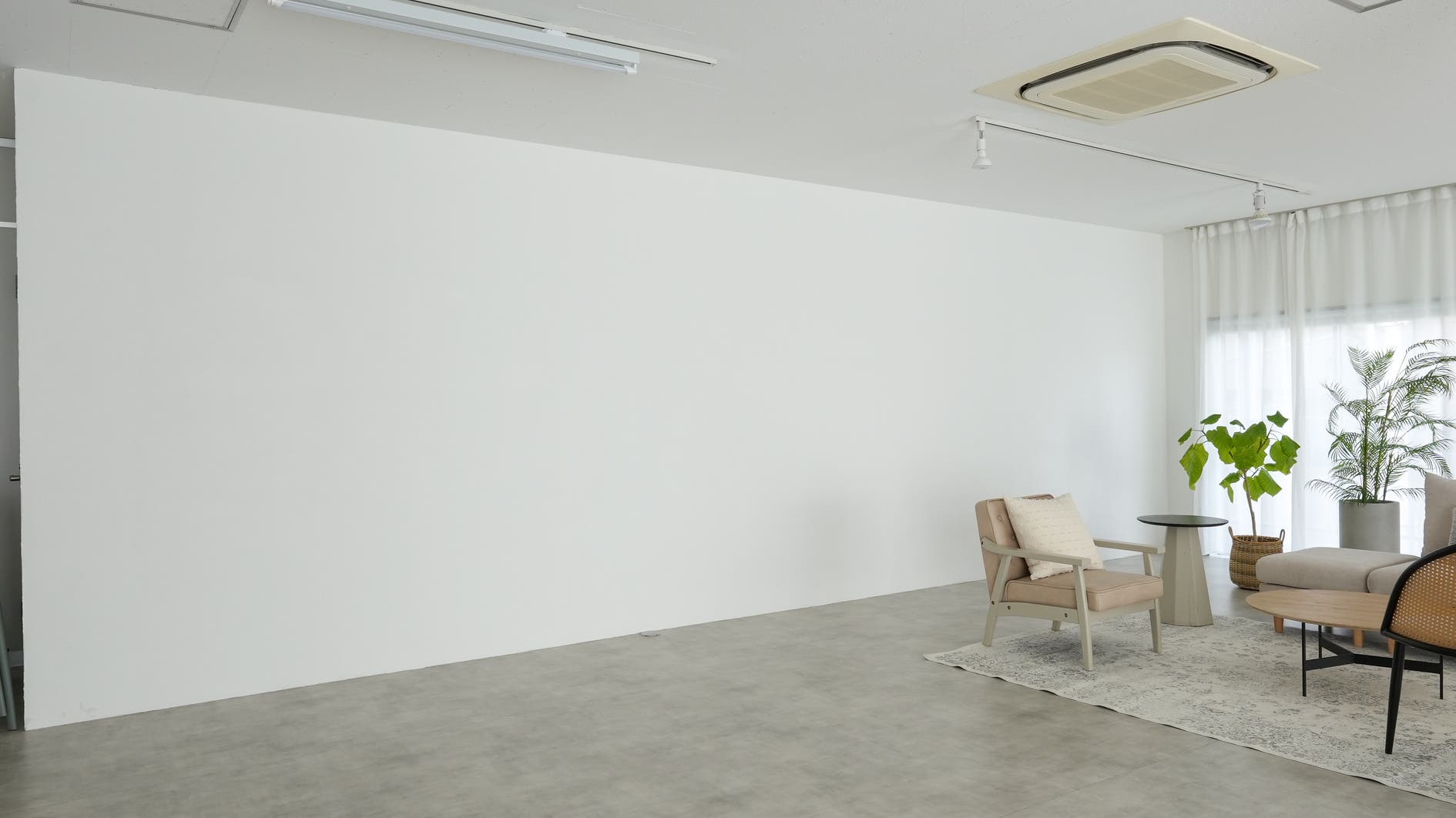 自然光は南＆東の2面☀️清掃◎で綺麗な白壁とモルタル調床／YouTube&WebCM実績多数🎥の写真5