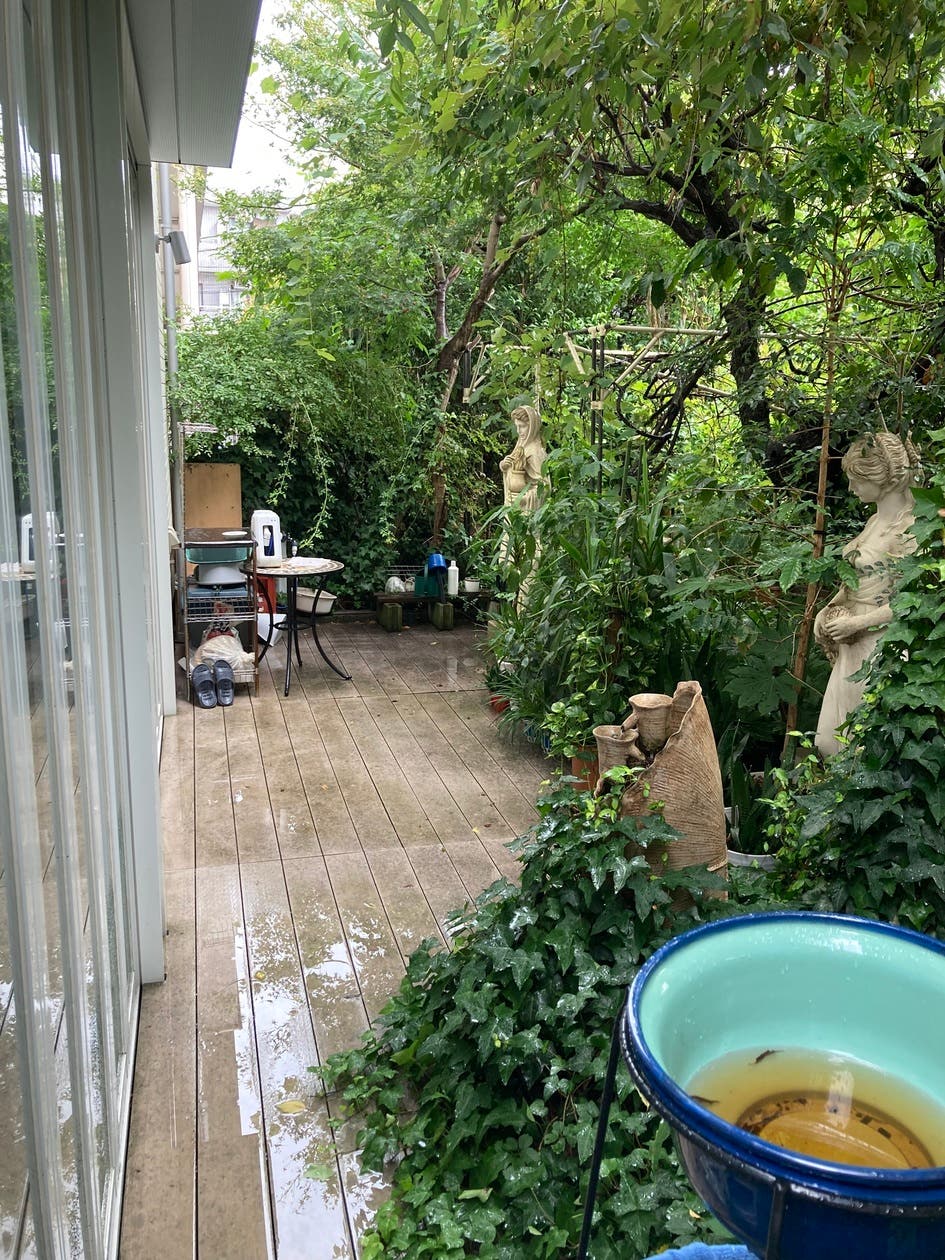 緑の自然に囲まれたカフェスペース🌿ホームパーティーやお料理教室などに！の写真14