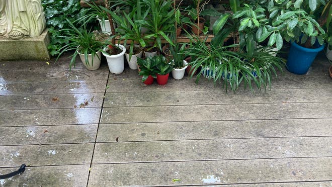 緑の自然に囲まれたカフェスペース🌿ホームパーティーやお料理教室などに!の写真16