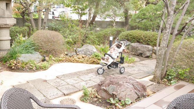 小田急町田駅徒歩4分「槙の家」の写真5