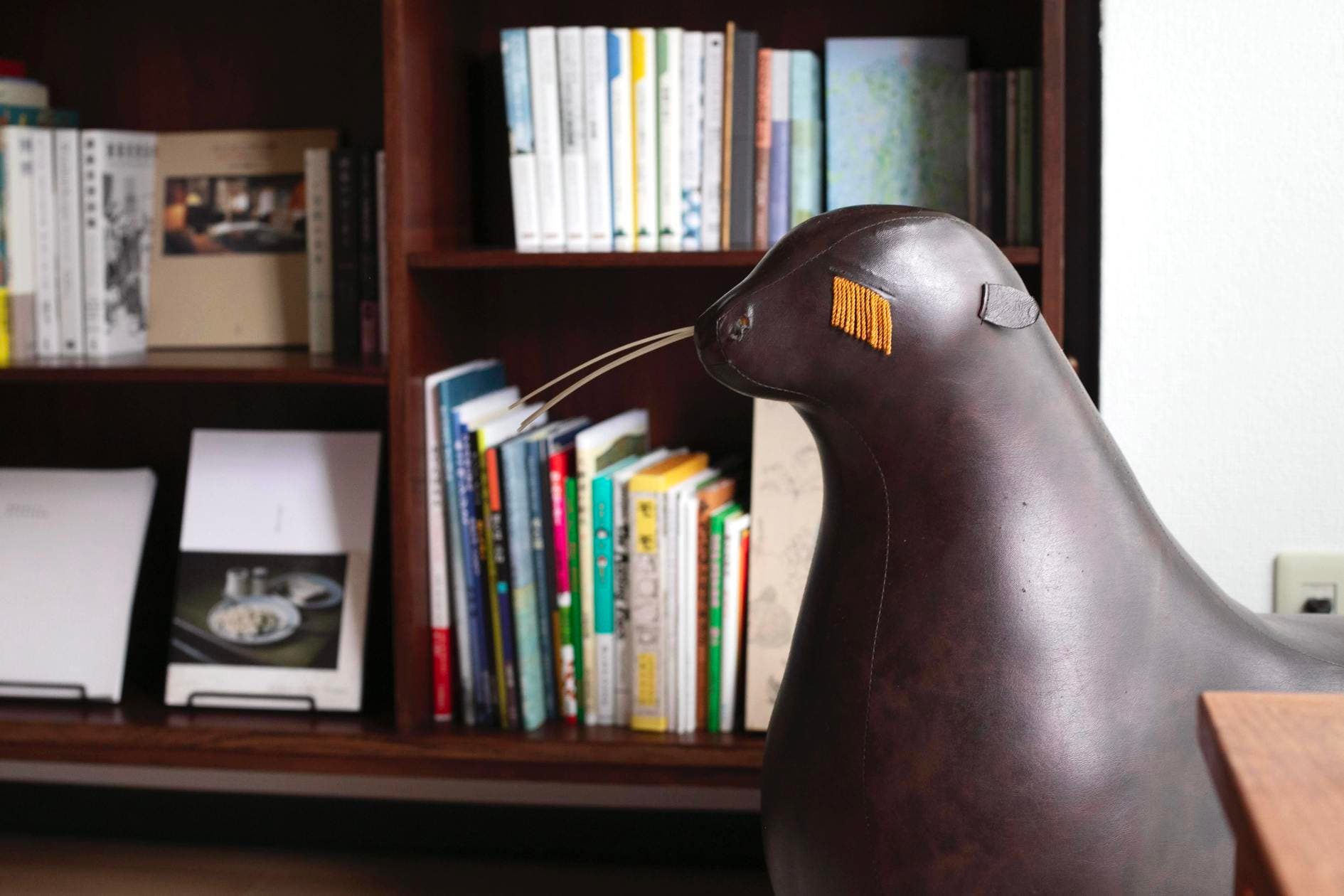 二面採光・和室・本棚のあるスタジオの写真7