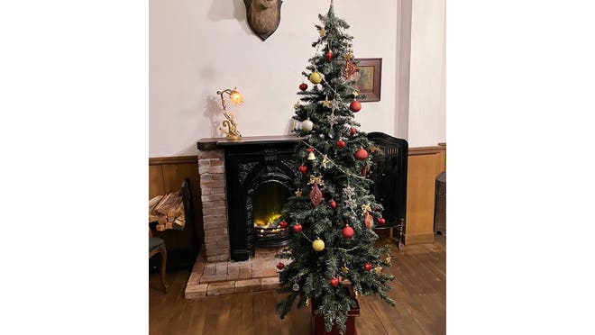 文京区千駄木 外観撮影もできる本格的洋館スタジオの写真30