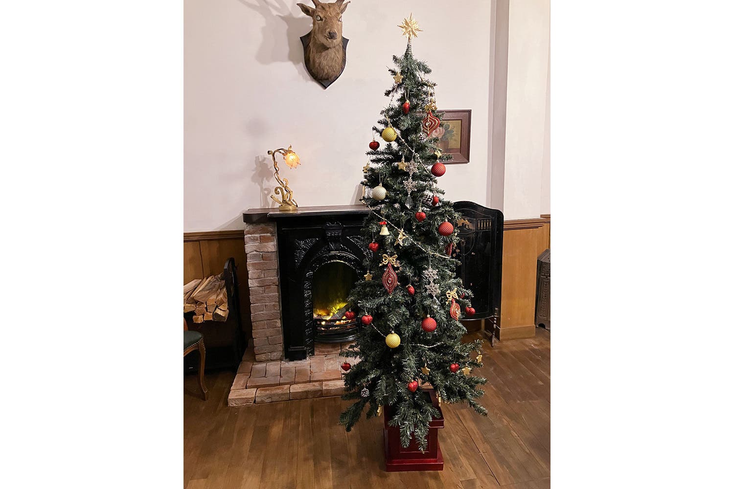 <非商用個人利用>文京区千駄木　外観撮影もできる本格的洋館スタジオ　の写真21