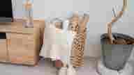【スタジオF】リビングを連想する和洋室の写真2