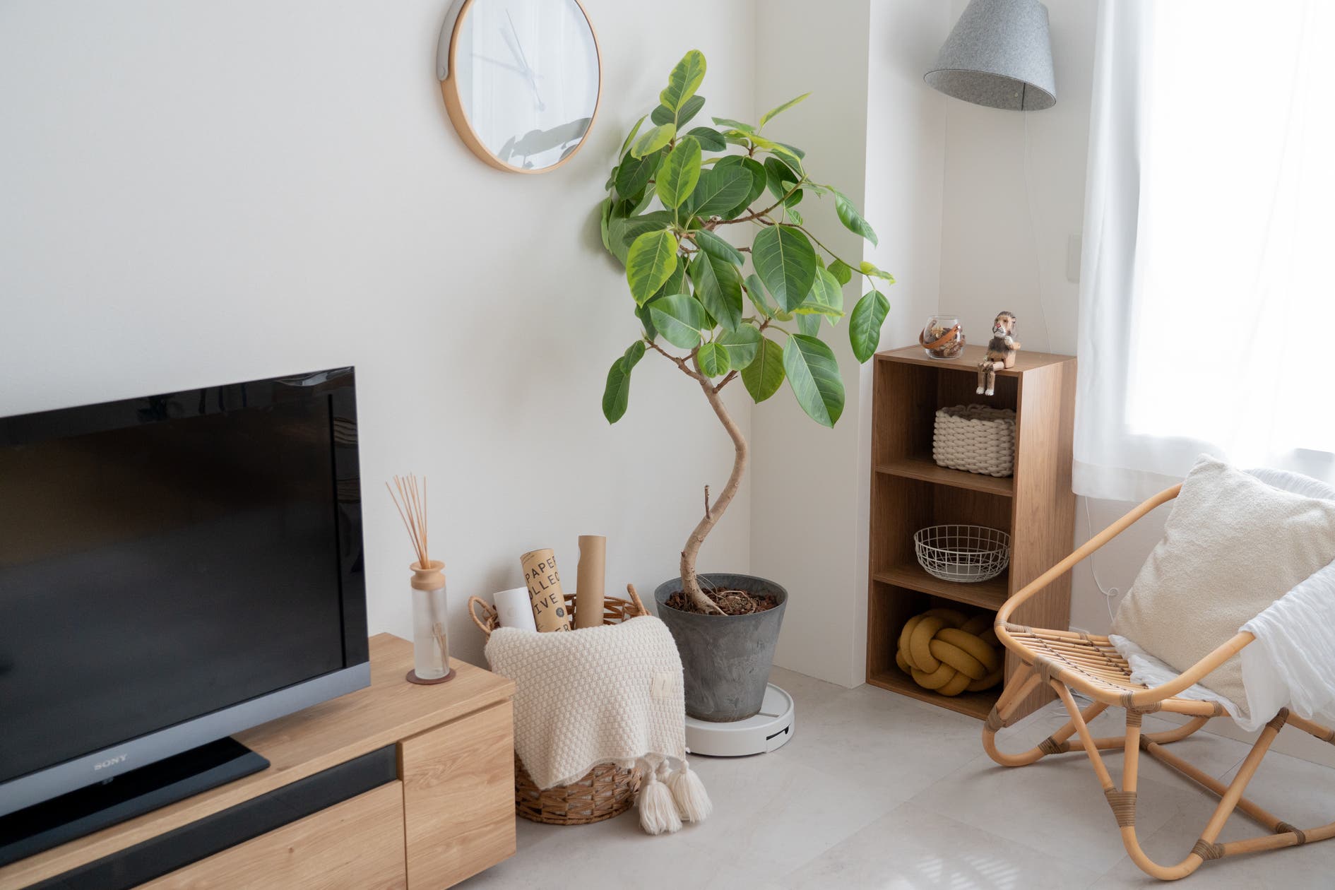 【スタジオF】リビングを連想する和洋室の写真3