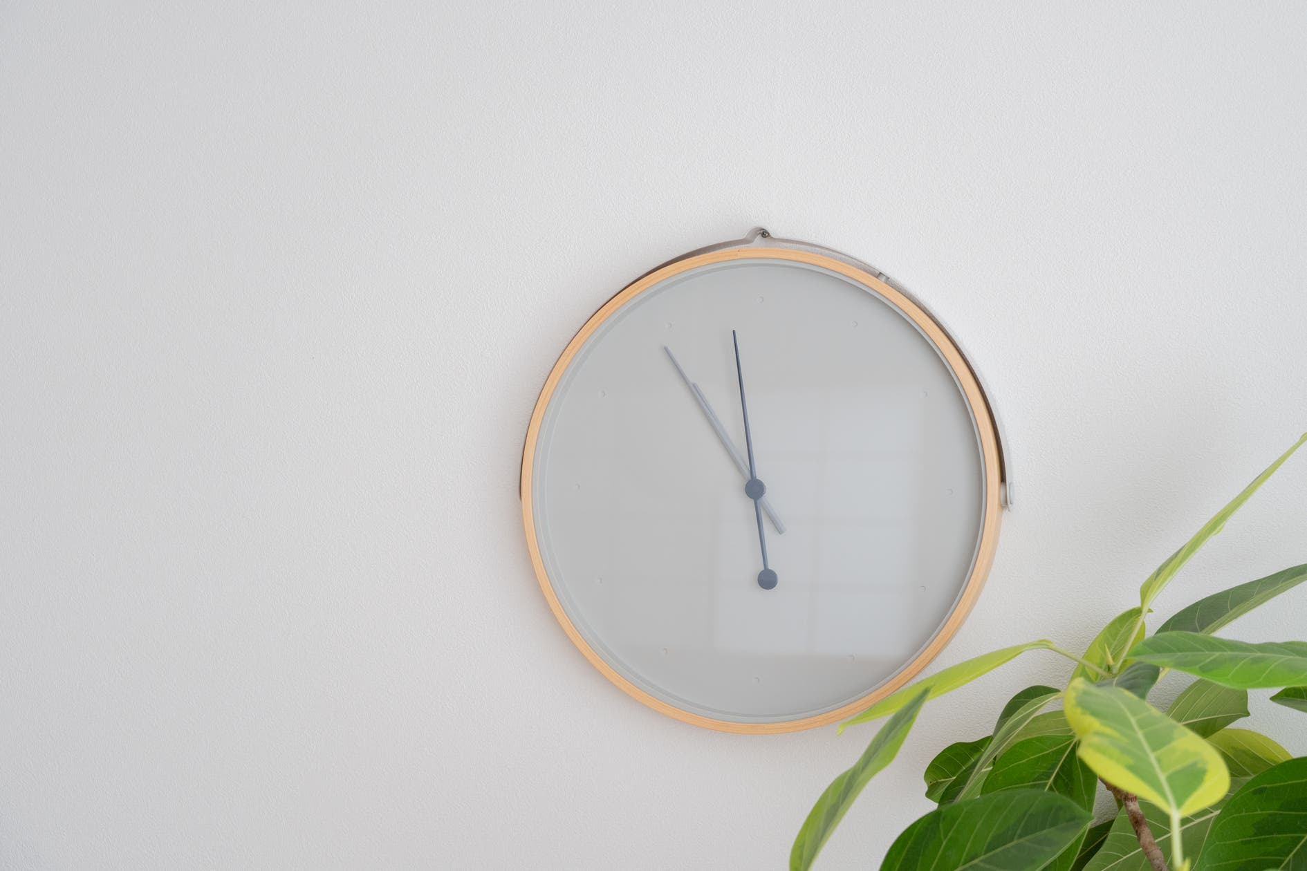 【スタジオF】リビングを連想する和洋室の写真9