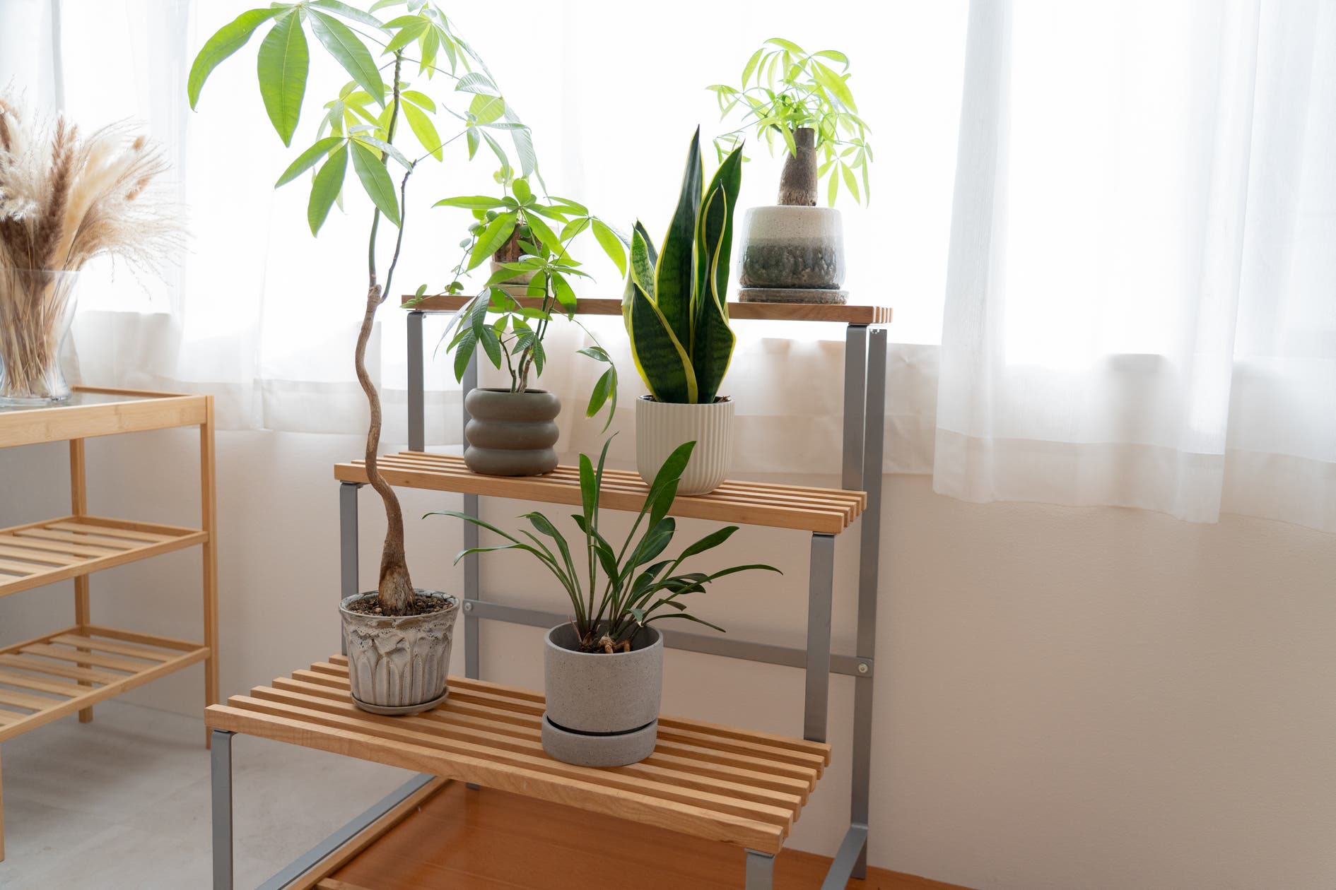 【スタジオF】リビングを連想する和洋室の写真12