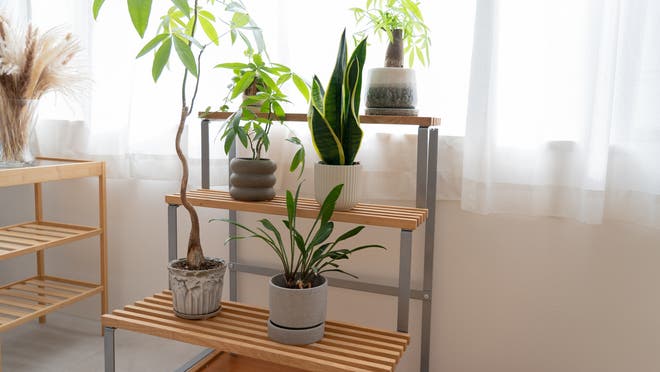 【スタジオF】リビングを連想する和洋室の写真12