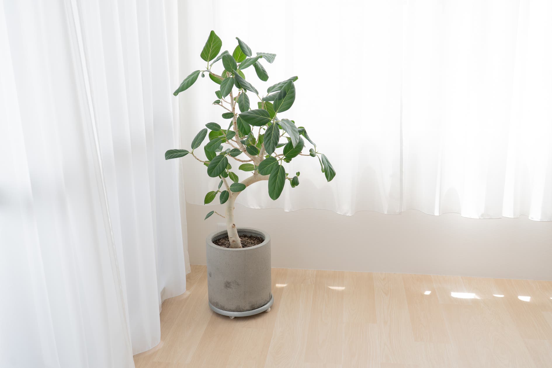 【スタジオK】窓が大きく光がよく入るくつろぎスペース、スタジオKの写真10