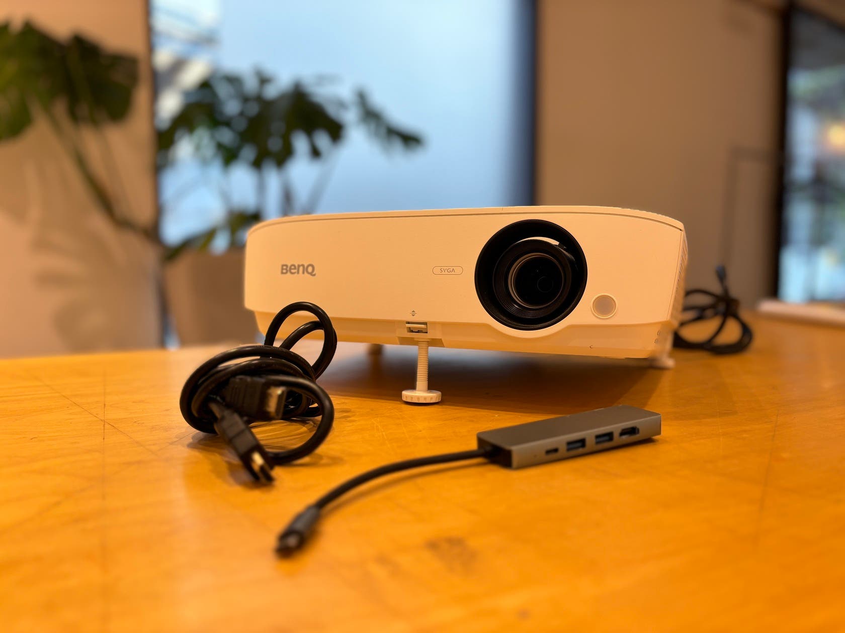 映画『消滅世界』の舞台となった建築家の元オフィスの写真13