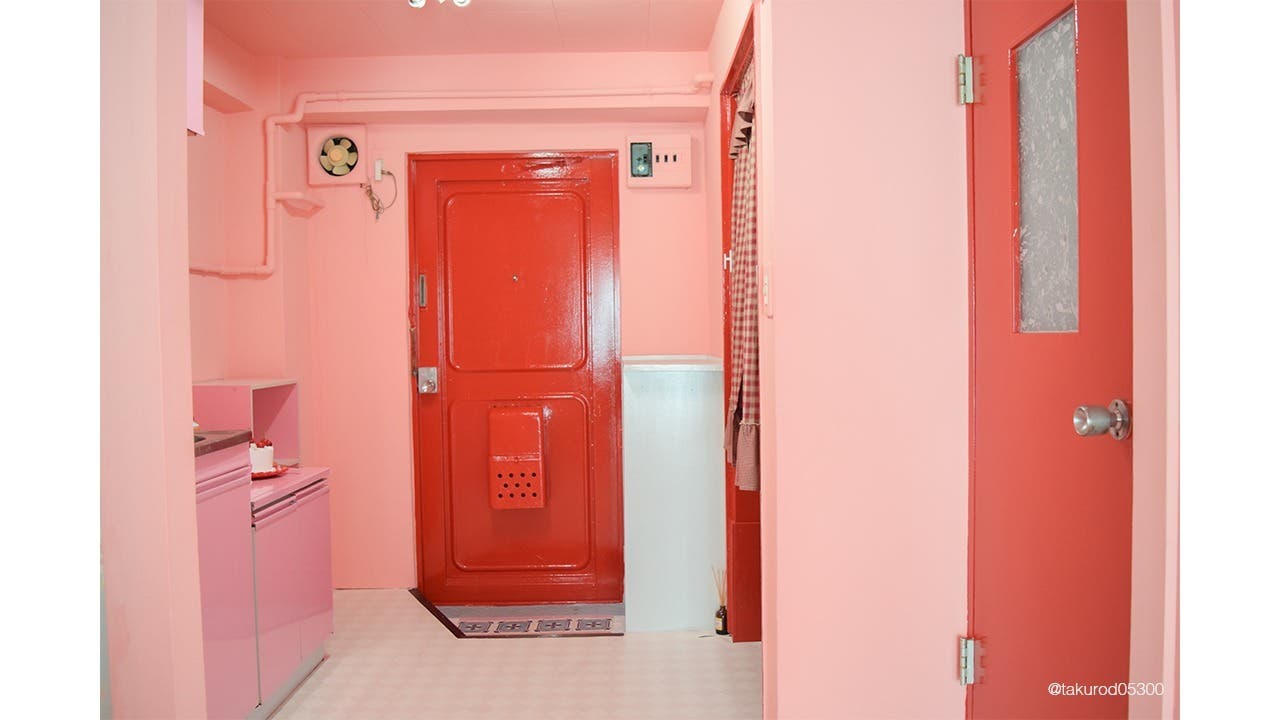 クリスマス| バレンタイン｜自然光｜かわいい｜ピンク｜赤 |レトロ | MV  #ペット可 #コスプレ #ロリータ #キッズ撮影の写真18