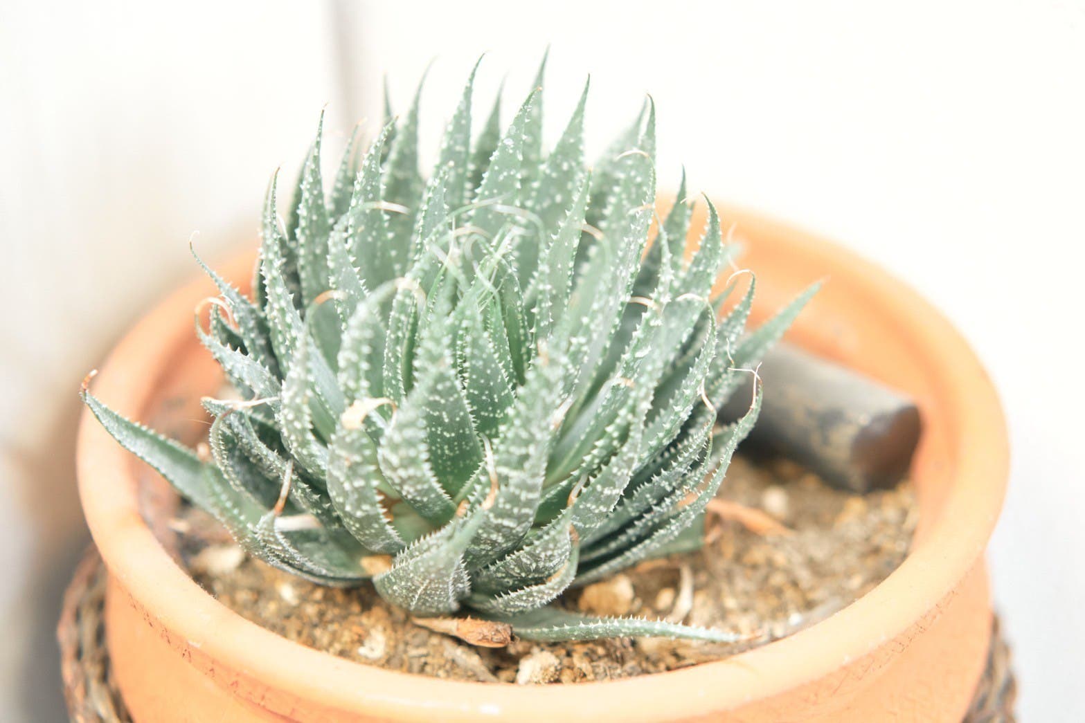 調布駅から徒歩7分！調布で大型鏡のあるスタジオ♪wifi完備！【24時間営業】の写真17