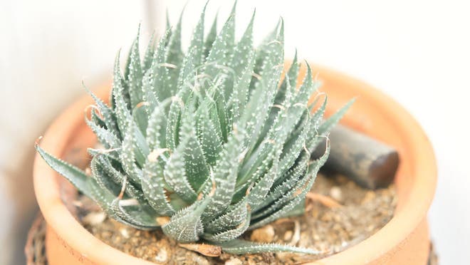 調布駅から徒歩7分!調布で大型鏡のあるスタジオ♪wifi完備!【24時間営業】の写真17