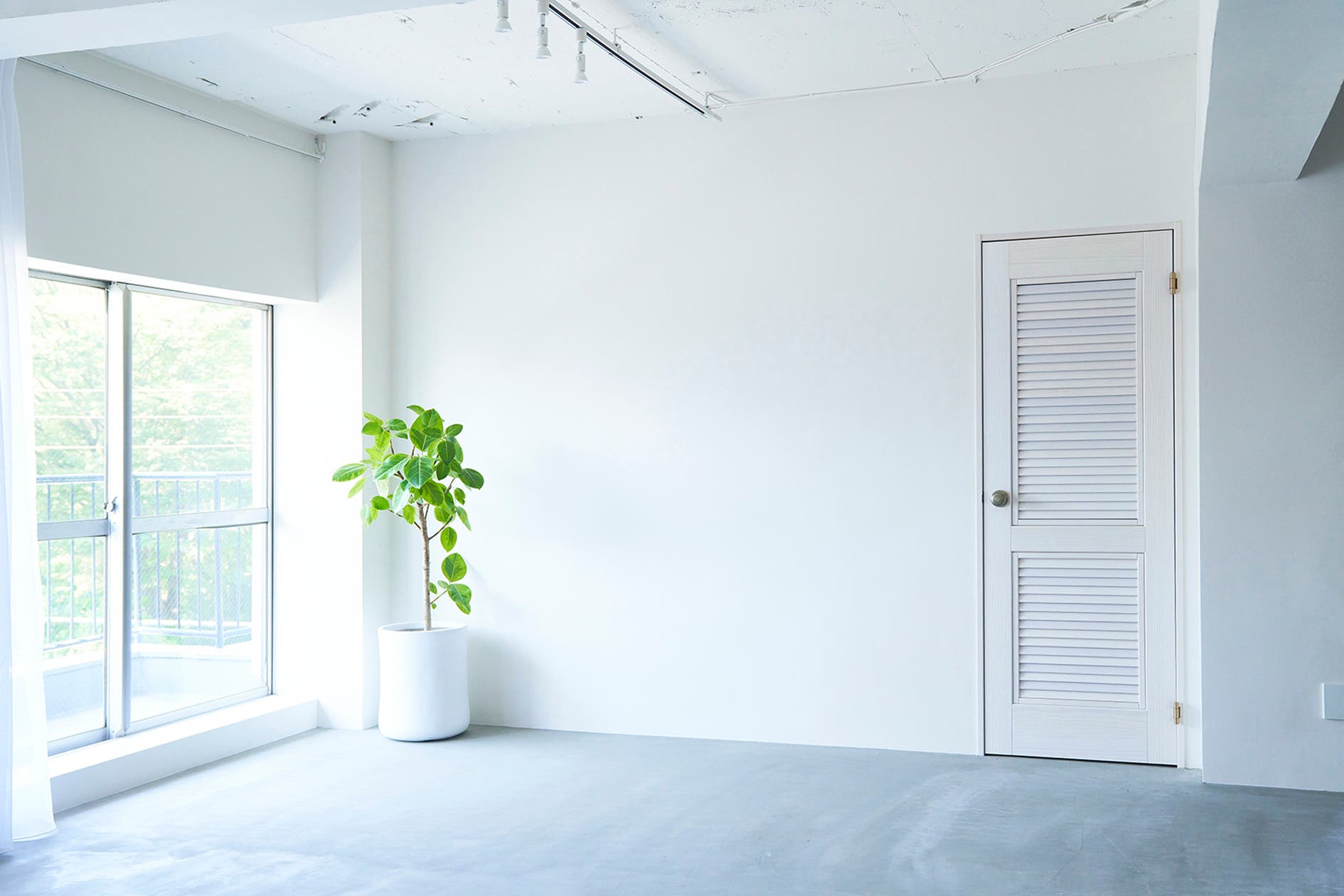 東京恵比寿の自然光スタジオ、屋上撮影にも絶好のロケーションの写真7