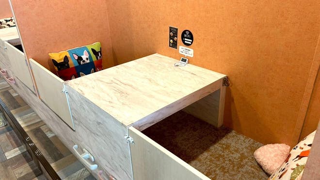 わんちゃんOKのパーティスペースの写真4