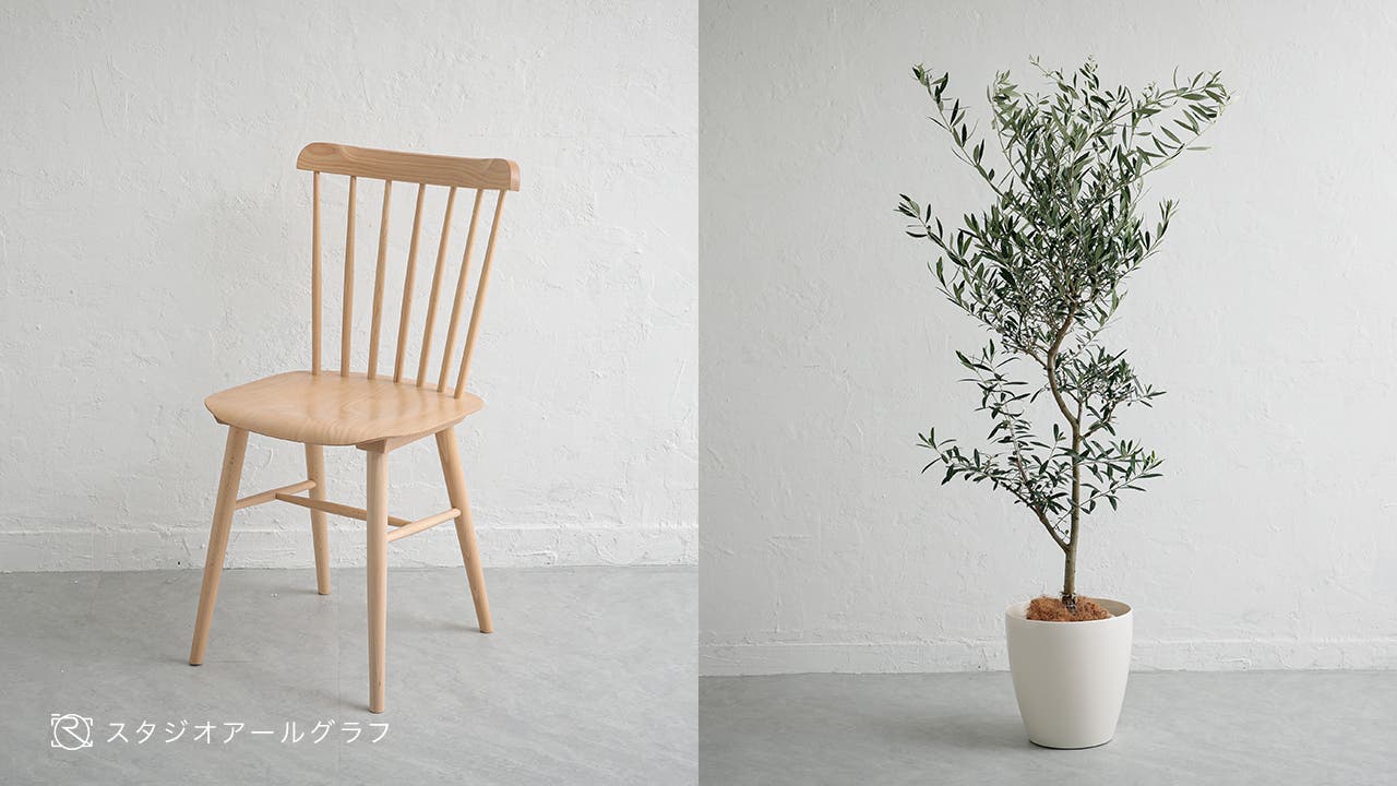 南向きの広い窓から優しい自然光が差し込む撮影用のレンタルフォトスタジオの写真11