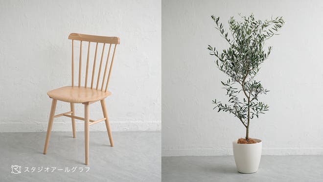 南向きの広い窓から優しい自然光が差し込む撮影用のレンタルフォトスタジオの写真11