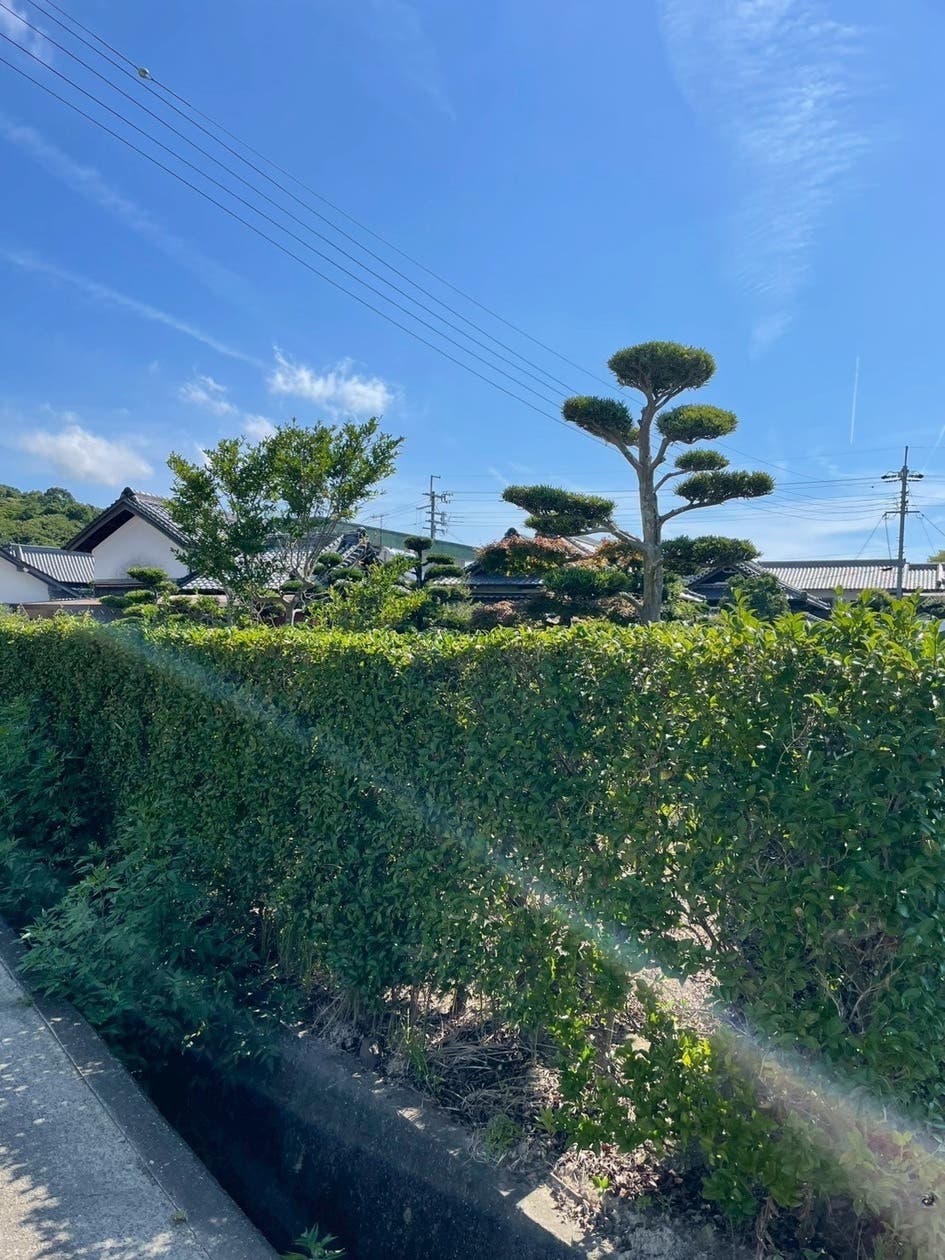 【商業撮影利用歓迎】大人気の古民家ハウスです！の写真6