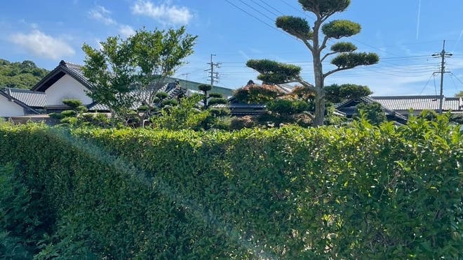 【商業撮影利用歓迎】大人気の古民家ハウスです!の写真6