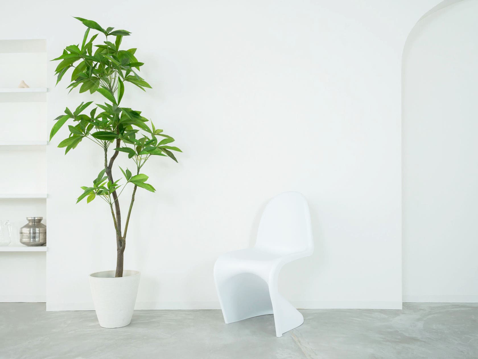 【 NEW OPEN 】撮影機材無料・自然光・コンクリ床・白壁・アーチ・埋込本棚【 アパレル｜撮影｜POP UP 】大須観音7分の写真14