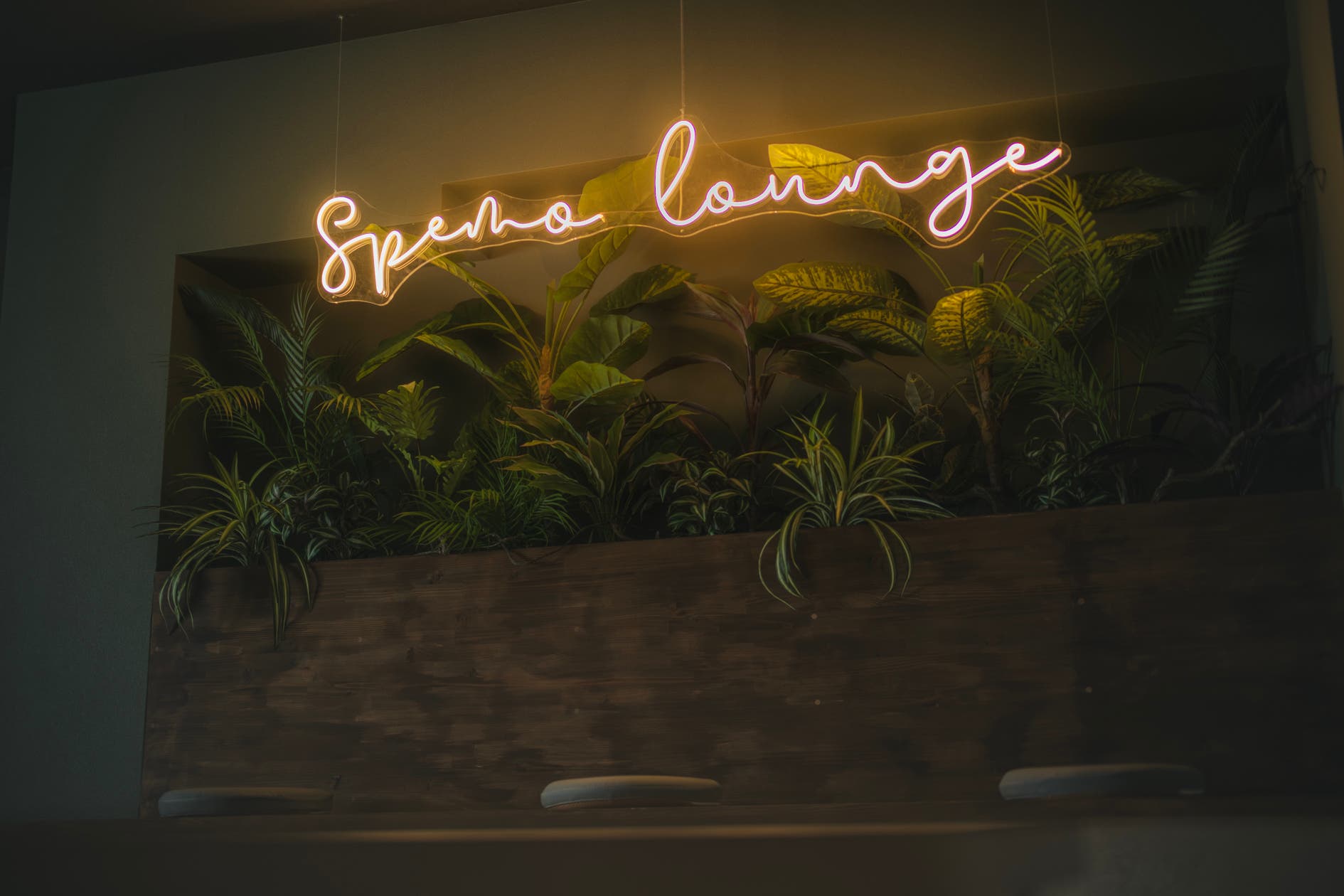 スペモ🌿クリスマス🎄新宿4分🚶キッチン🍳プロジェクター🎥パーティー🥂自然光🔅647_SpemoLOUNGE新宿の写真14