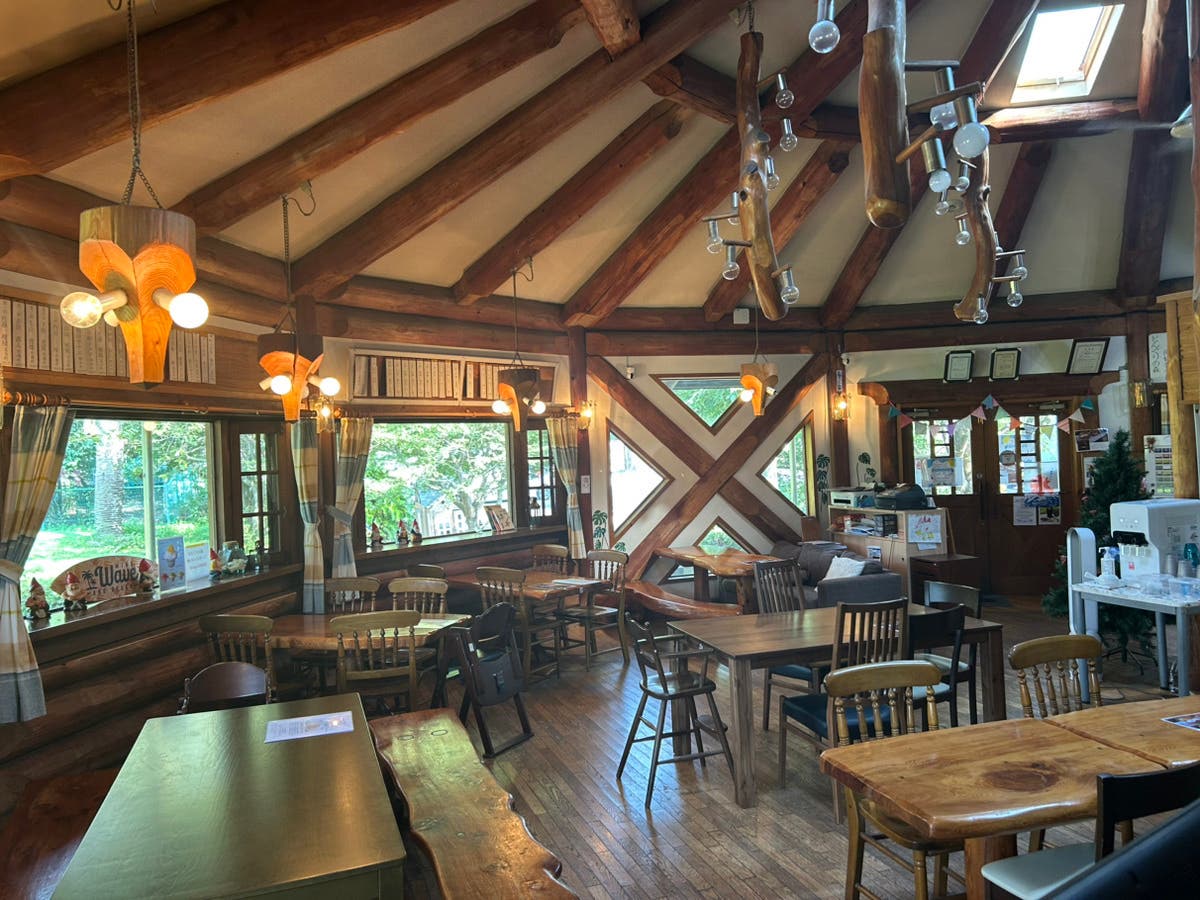 秘密基地みたいな、どんぐりの森のログハウスへようこそ☆の写真3