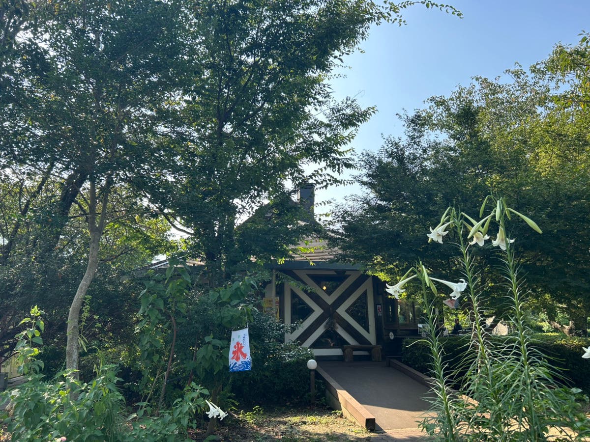 個室【お子様連れ大歓迎】大自然の中のゆったり個室＊ケーキ屋さん併設の写真6