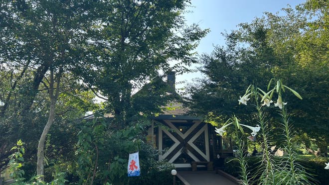 個室【お子様連れ大歓迎】大自然の中のゆったり個室*ケーキ屋さん併設の写真6