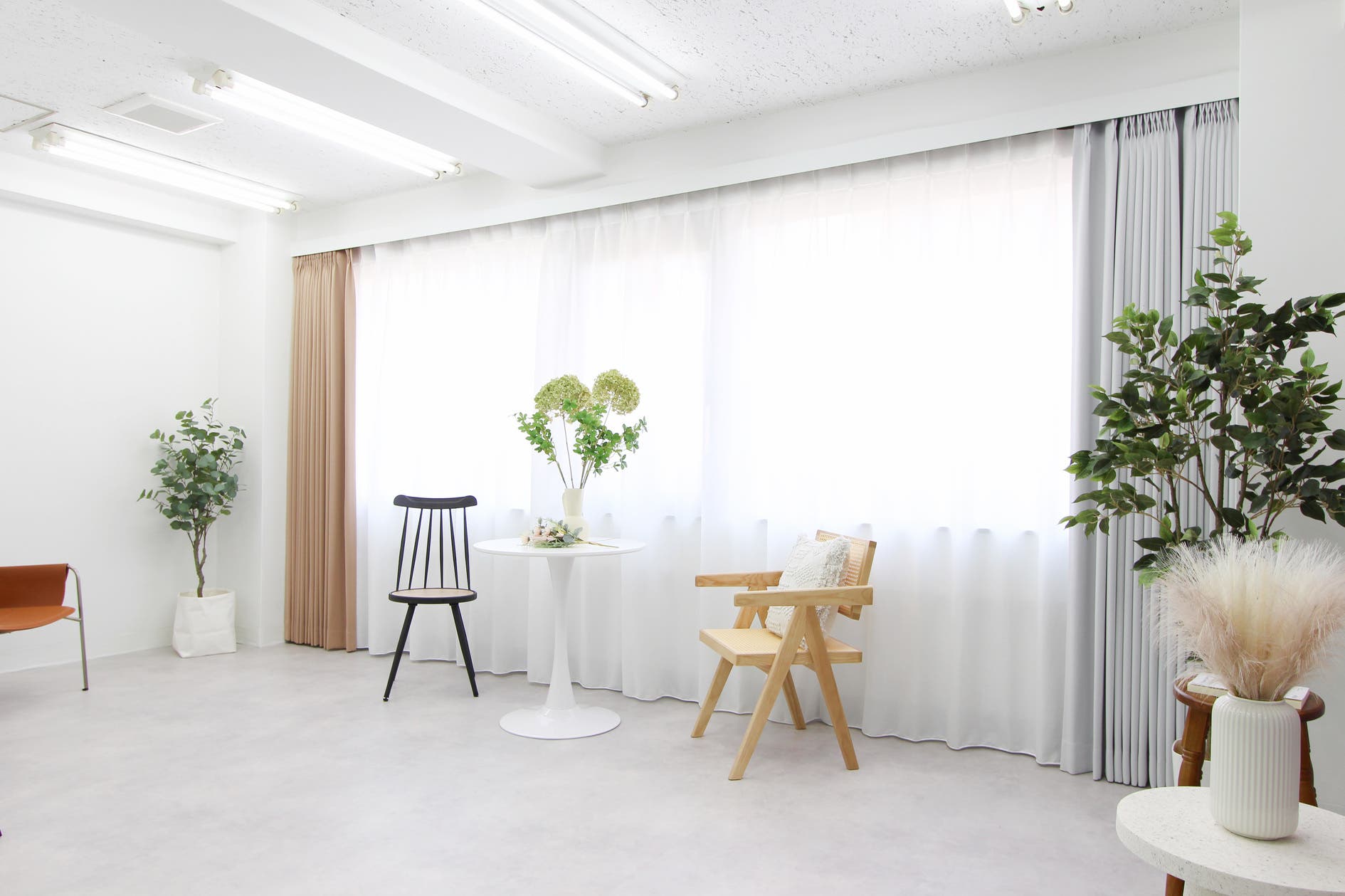 NEW OPEN割‼️【神保町駅3分】📷ポートレート｜撮影会｜イベント｜自然光｜各種機材無料✨の写真1