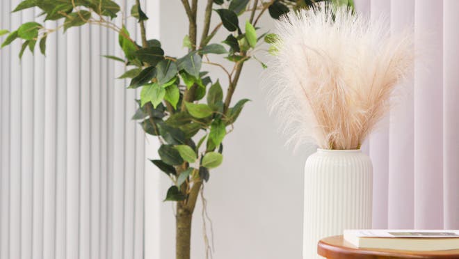 NEW OPEN割‼️【神保町駅3分】📷ポートレート|撮影会|イベント|自然光|各種機材無料✨の写真8