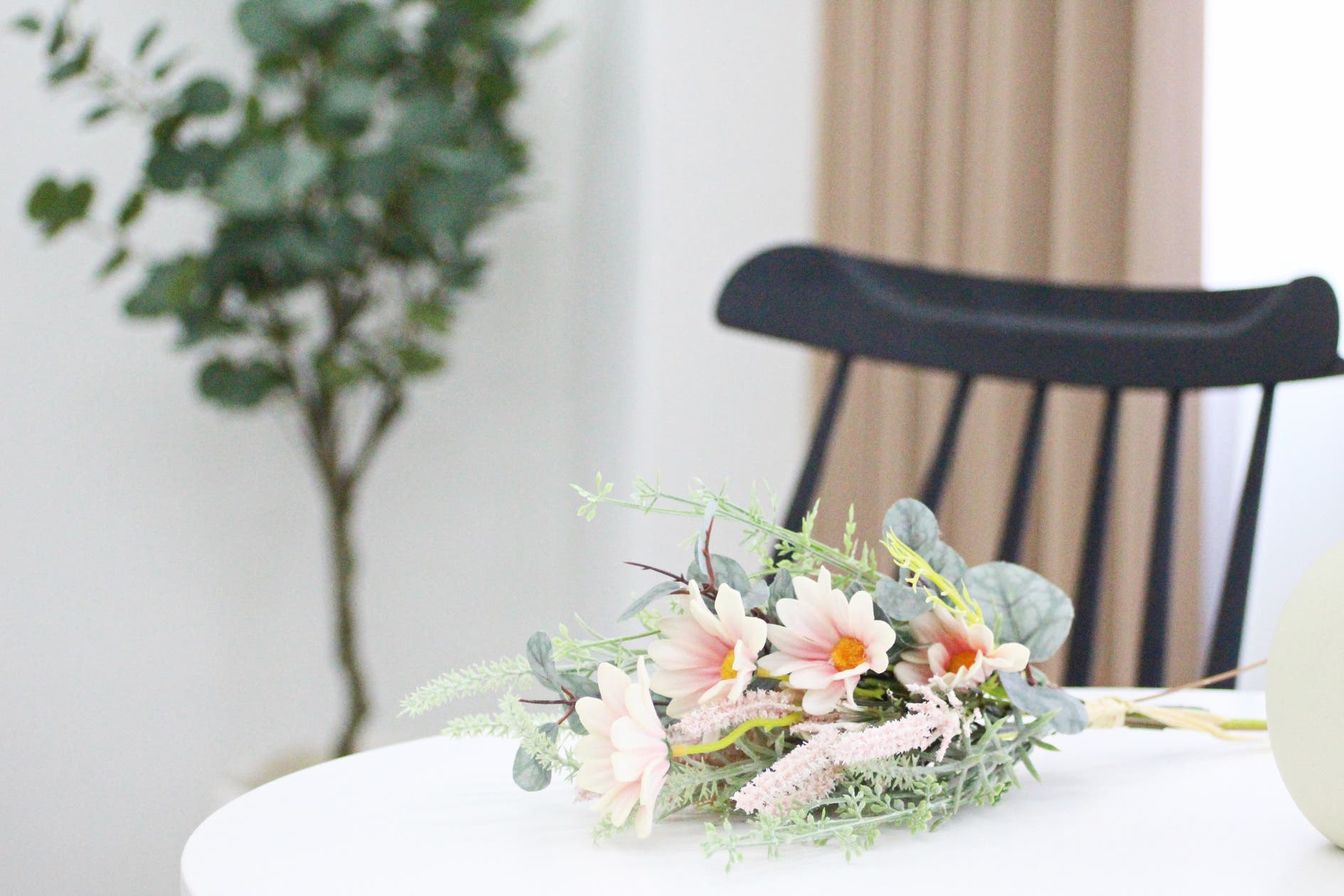 NEW OPEN割‼️【神保町駅3分】📷ポートレート｜撮影会｜イベント｜自然光｜各種機材無料✨の写真9