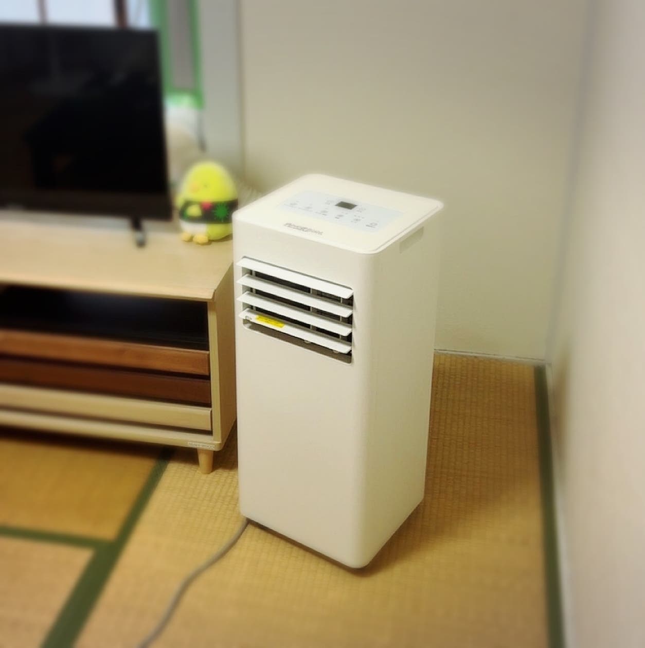 ✨️新規-𝙊𝙋𝙀𝙉-✨️ 格安！暖かい雰囲気の広々としたお部屋です(*´꒳`*)🌟配信機材完備🌟オフ会🌟推し活🌟の写真19