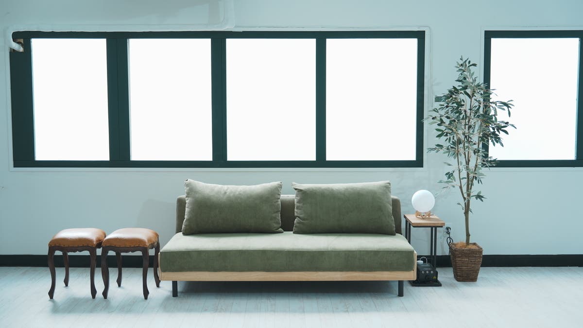 鶯谷駅から徒歩8分！自然光たっぷりの撮影スタジオ📸セミナーやイベント利用も◎の写真4