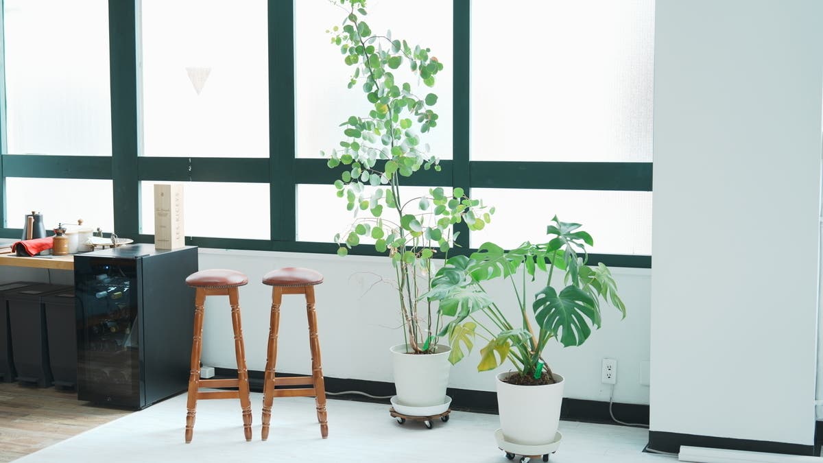 鶯谷駅から徒歩8分！自然光たっぷりの撮影スタジオ📸セミナーやイベント利用も◎の写真5