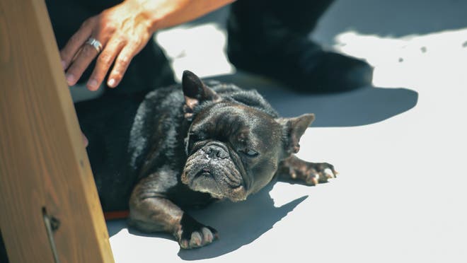 海すぐそばの倉庫をリノベーションしたアパレルカフェスペース。の写真16