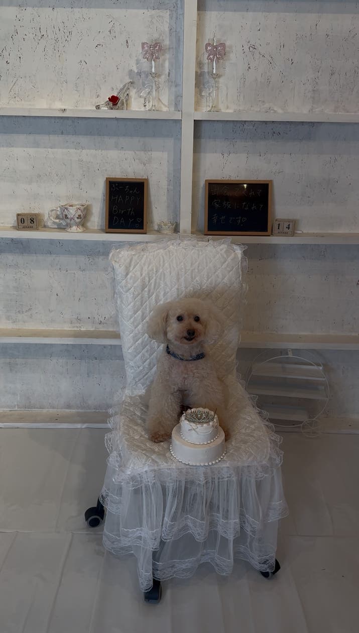 推しと結婚スタジオ奈良駅すぐの写真4