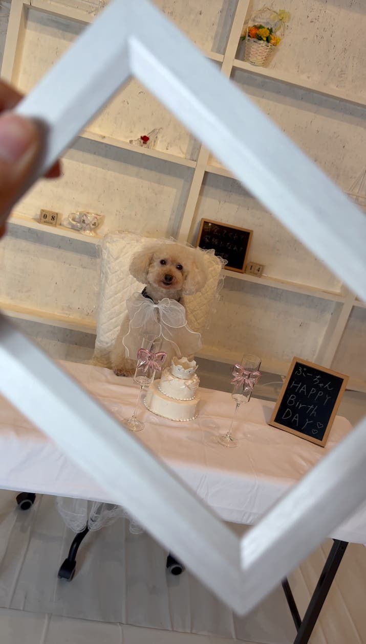 推しと結婚スタジオ奈良駅すぐの写真5