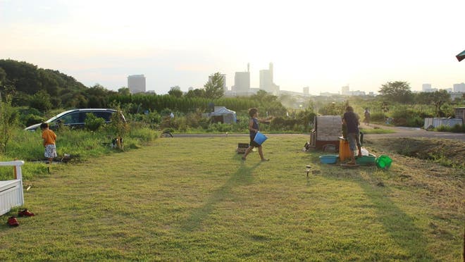 ピザパーティや各種イベントに!農園隣接のピザ窯付き芝生広場の写真2